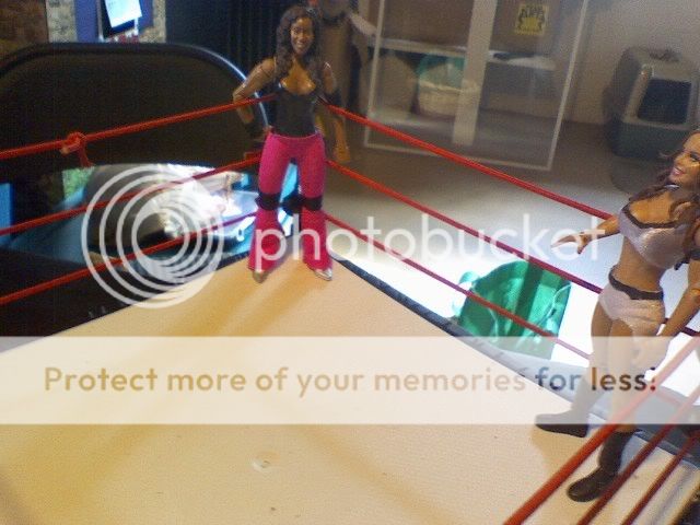 FWE Arena+Custom divas!! | Wrestlingfigs.com WWE Figure Forums