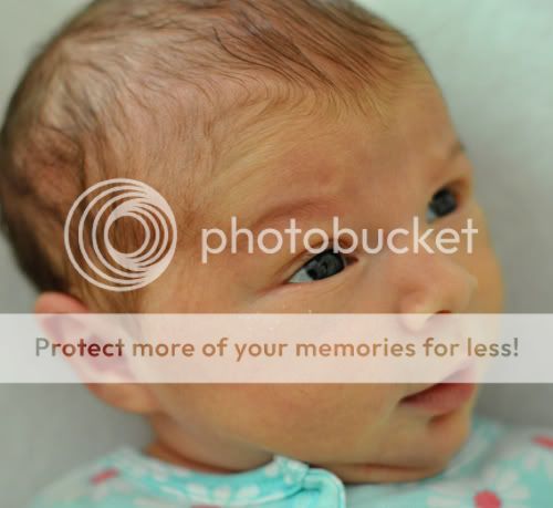 The Sweetest Face – Daily Cynema