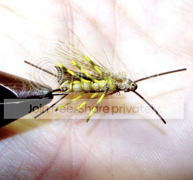 Skwala dry pattern | Washington Fly Fishing Forum