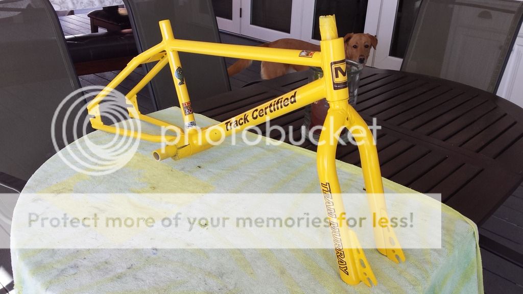 murray x20r decals ?? - BMXmuseum.com Forums