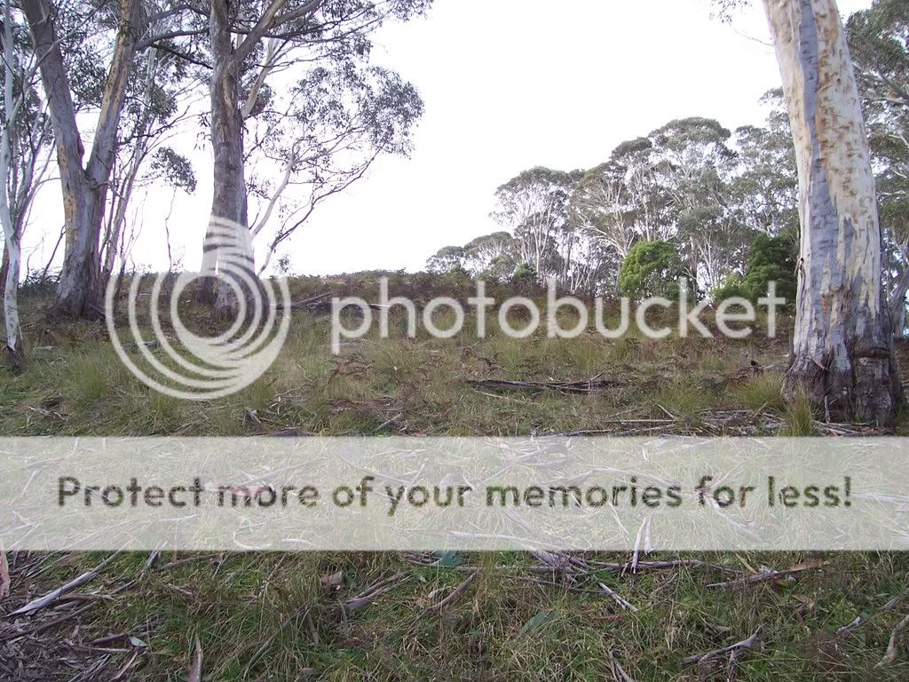 Summit of Mt Bindo, NSW. | Ski Forum