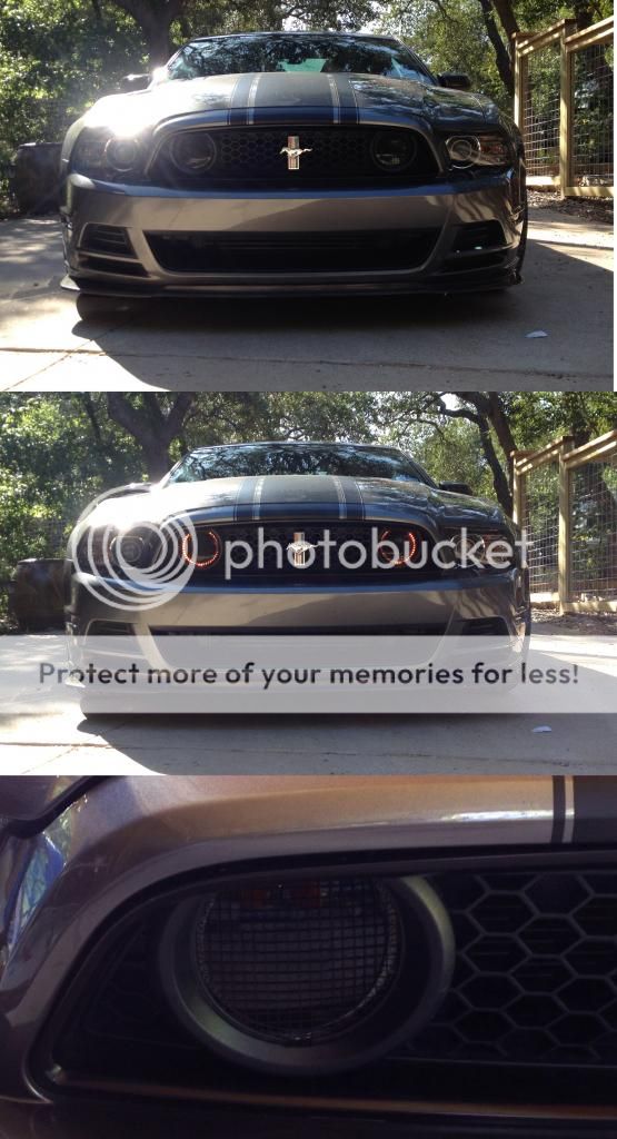 Installed Oracle Dual Color Fog Halos | Mustang Evolution Forum